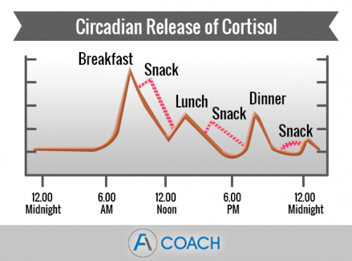 Why Cortisol is Not A Bad Hormone - Adrenal Fatigue Coach