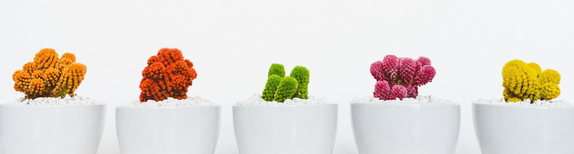 Less is More: How Minimalism Can Help Reduce Stress | Adrenal Fatigue Coach